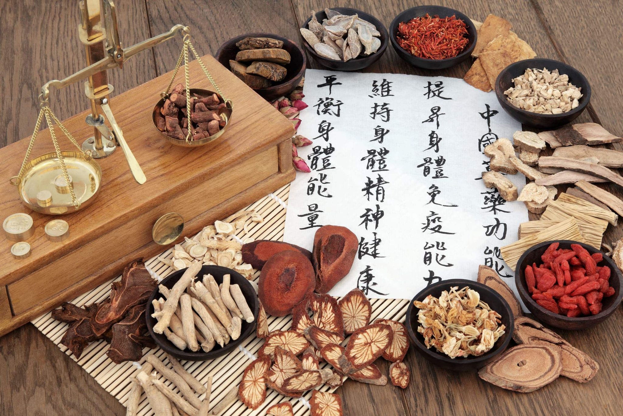 Great education in Chinese Medicine in Amsterdam